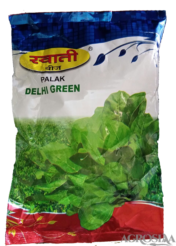 Swati Delhi Green Palak Spinach Seed 500 Gm