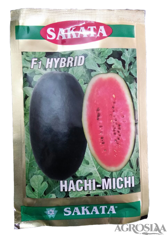 Sakata Hachi-michi F1 Hybrid Watermelon Seed - 25 Gm