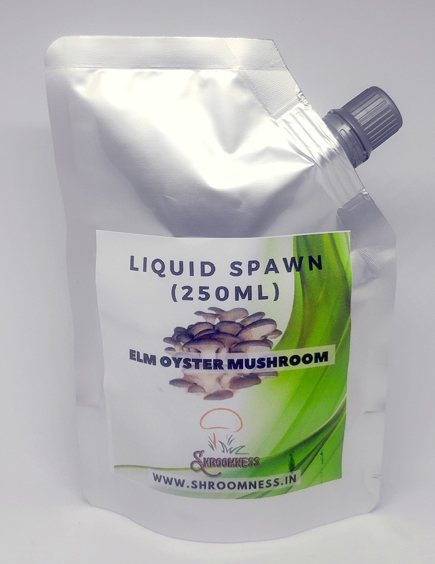 Shroomness Elm Oyster Mushroom Spawn Liquid Spawn - 250ml