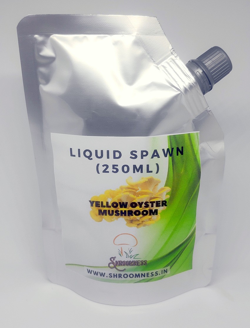 Shroomness Yellow Oyster Mushroom Spawn Liquid Spawn - 250 Ml