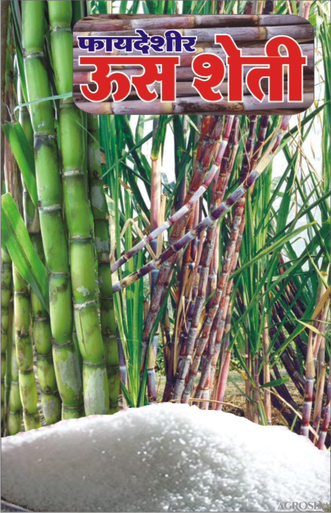 Phaydeshir Uss Sheti