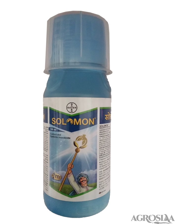 Bayer Solomon Insecticide - 100 Ml
