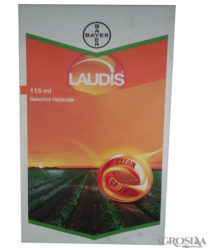 Bayer Laudis - 115 Ml And Activator - 400 Ml