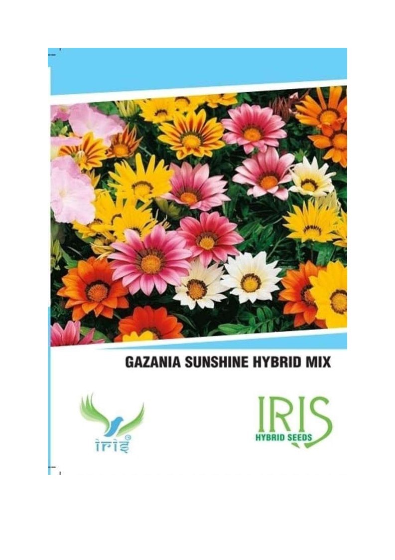 Iris Hybrid Seeds Gazania Sunshine Mix Flower (20 Seeds)
