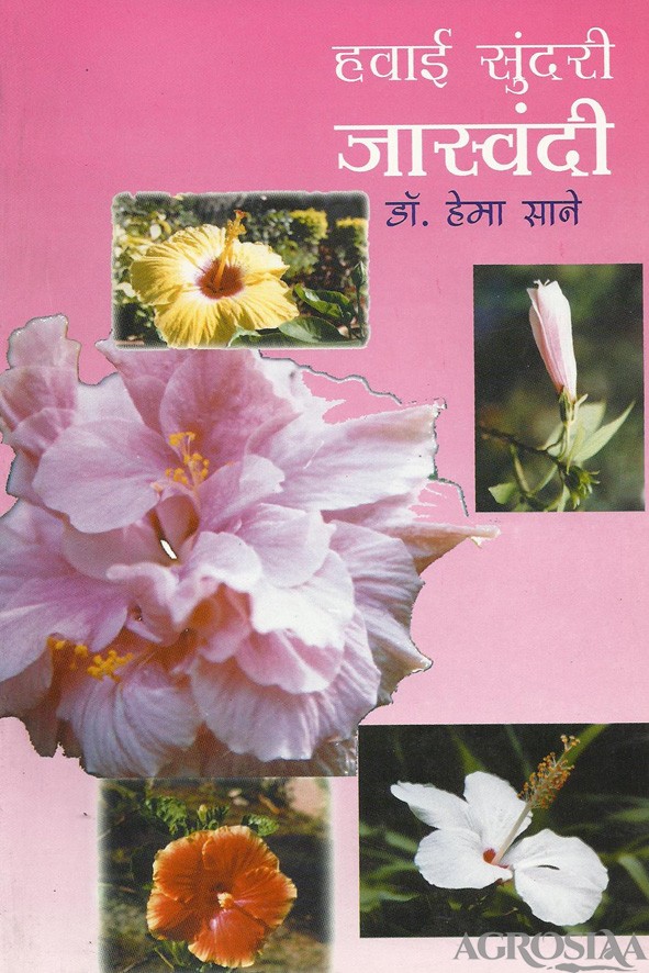 Havai Sunadari Jaswandi