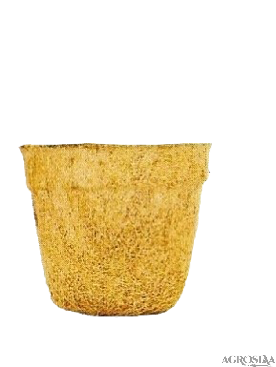 Spring Field Round Coir Pot Size - 5 Inch