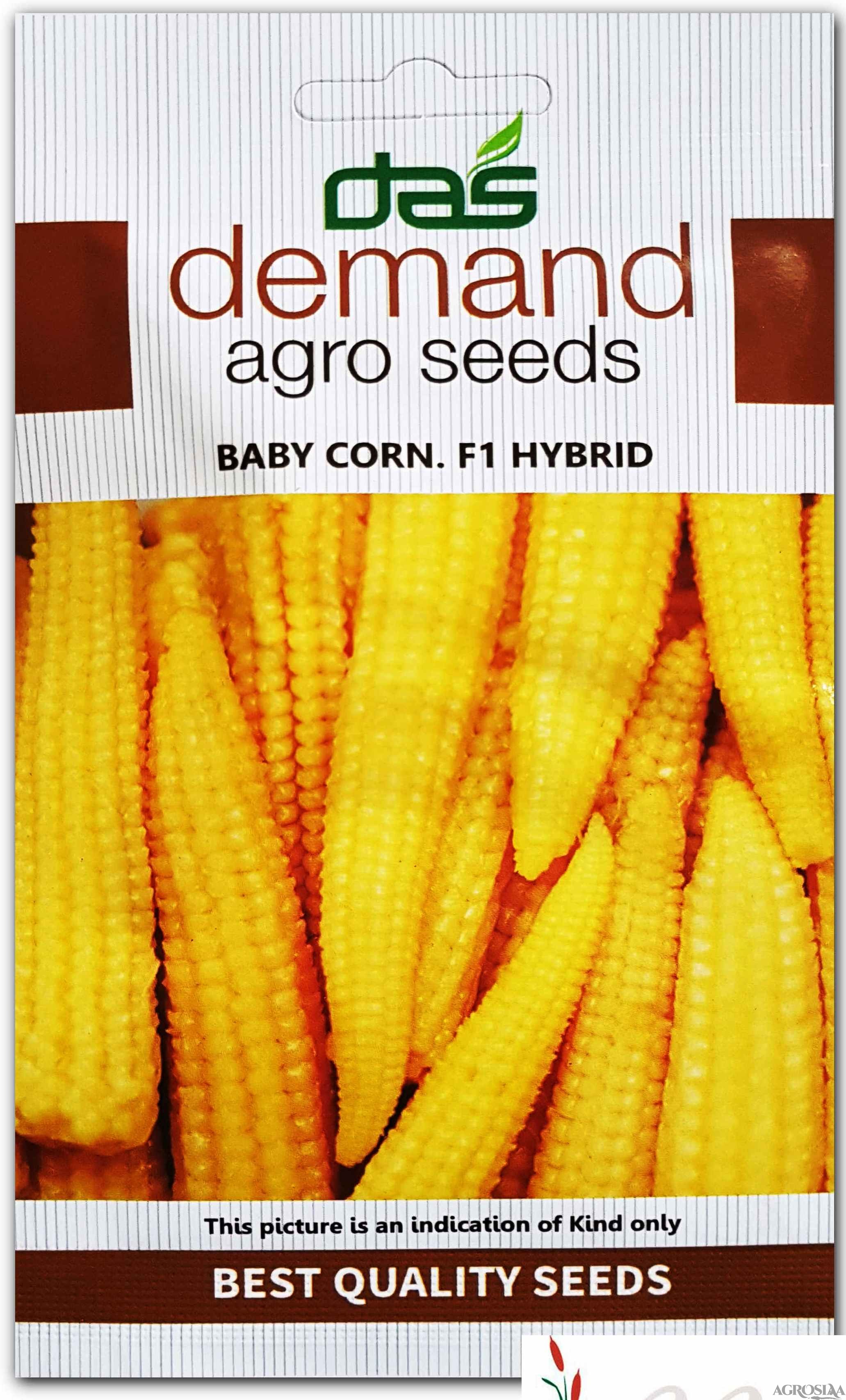 Demand F1 Hybrid Baby Corn Seed - 10 Gm | Agrosiaa.com