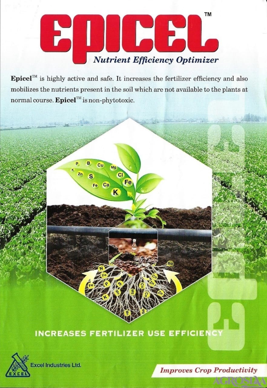 Epicel Nutrient Efficiency Optimizer - 100 Gm