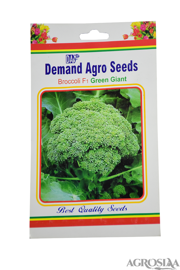 Demand F1 Green Giant Broccoli Seed - 10 Gm | Agrosiaa.com
