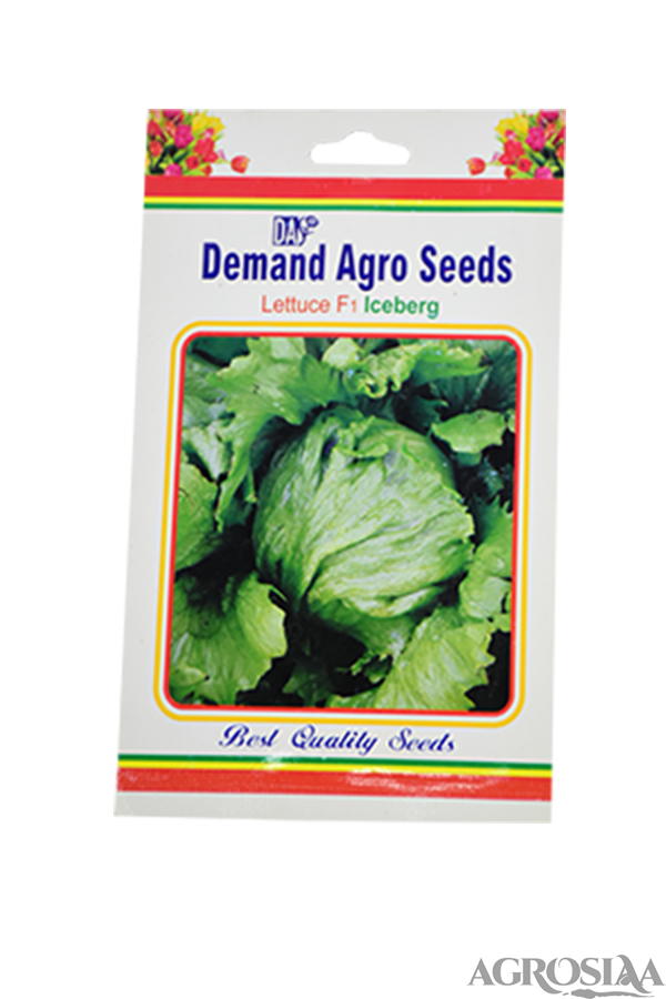 Demand F1 Iceberg Lettuce Seed - 300 Nos | Agrosiaa.com