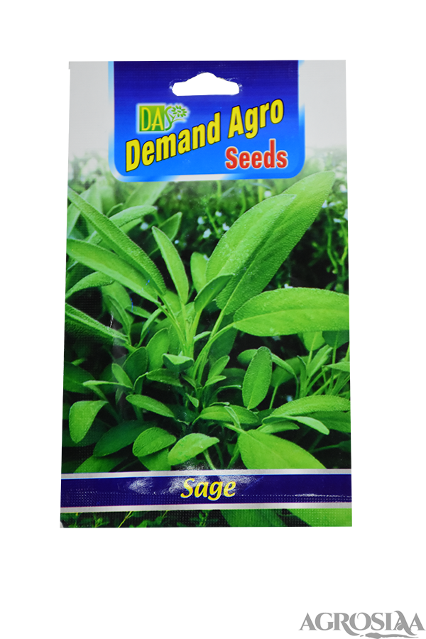 Demand Agro Sage Seed - 150 Gm | Agrosiaa.com