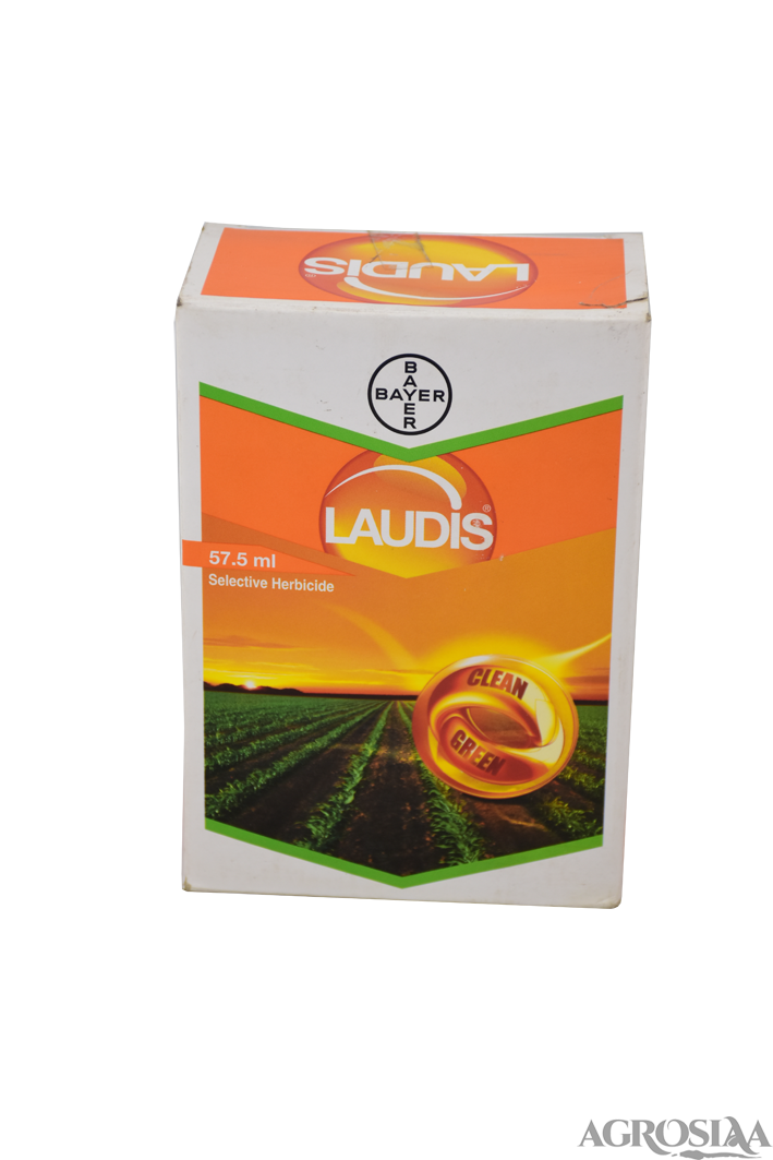 Bayer Laudis - 57.5 Ml And Activator - 200 Ml