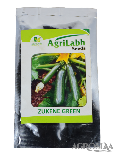 Agrilabh Zukene Green Cucumber Seed - 10 Gm
