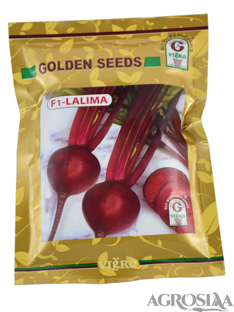 Golden Lalima F1 Hybrid Beet Root Seed - 50 Gm
