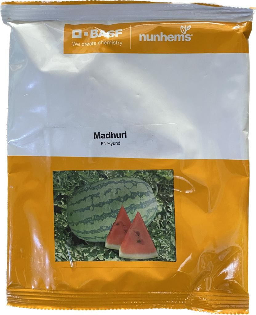 Nunhems Watermelon Madhuri (64) F1 - 1000 Seeds
